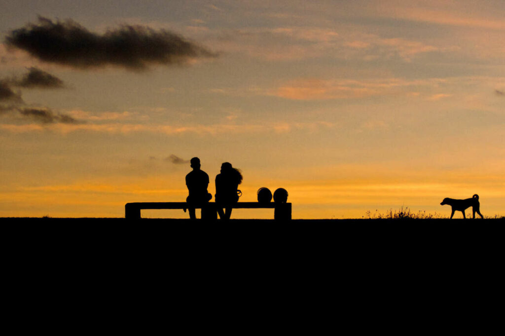 Αυτή είναι η πρώτη γάτα δίχως φύλο | Protagon.gr