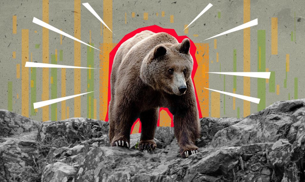 Ανθρωποι και αρκούδες | Protagon.gr