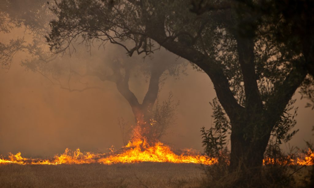 Πώς μετριέται η ζωή; | Protagon.gr